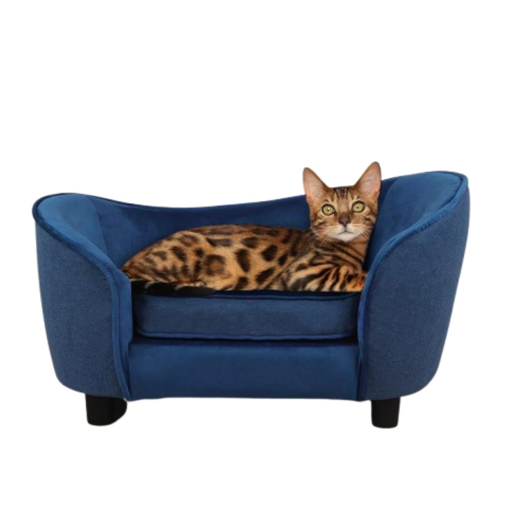 The 6 best cat beds 2025, reviewed and approved by our cats | PetsRadar