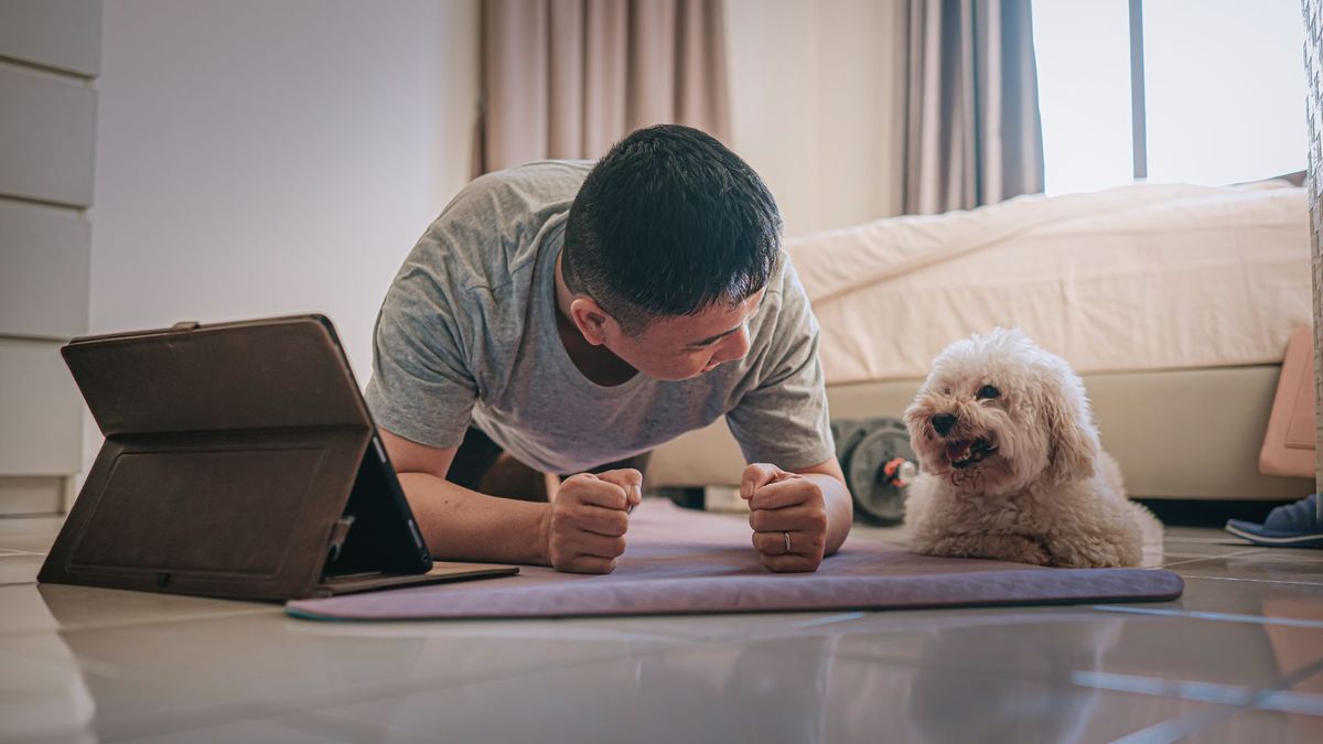 32 reasons dogs make the best companions | PetsRadar