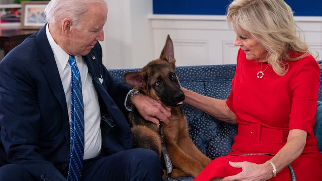 US presidents’ dogs throughout history | PetsRadar