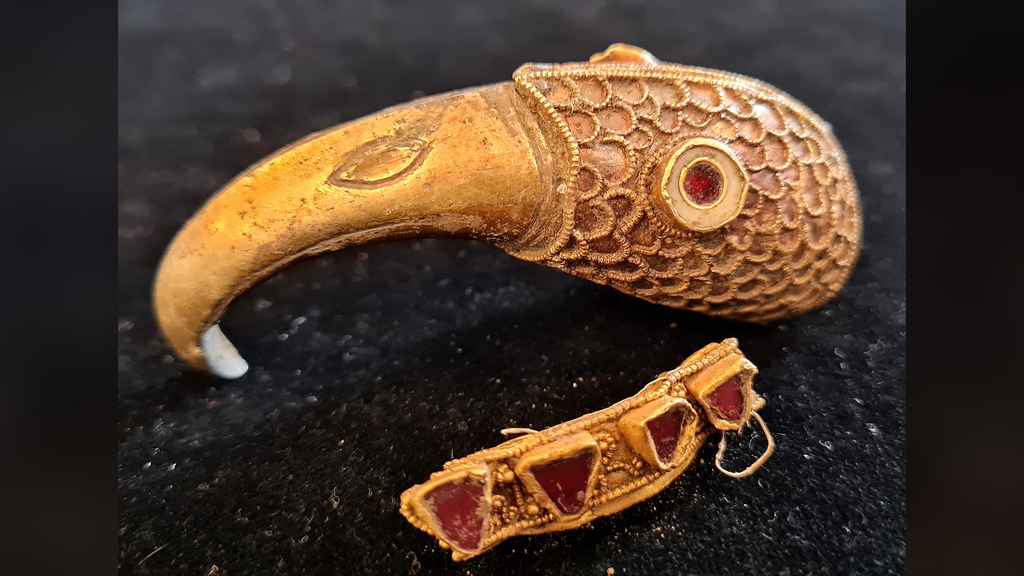 Metal detectorists unearth dazzling Anglo-Saxon gold-and-garnet raven ...