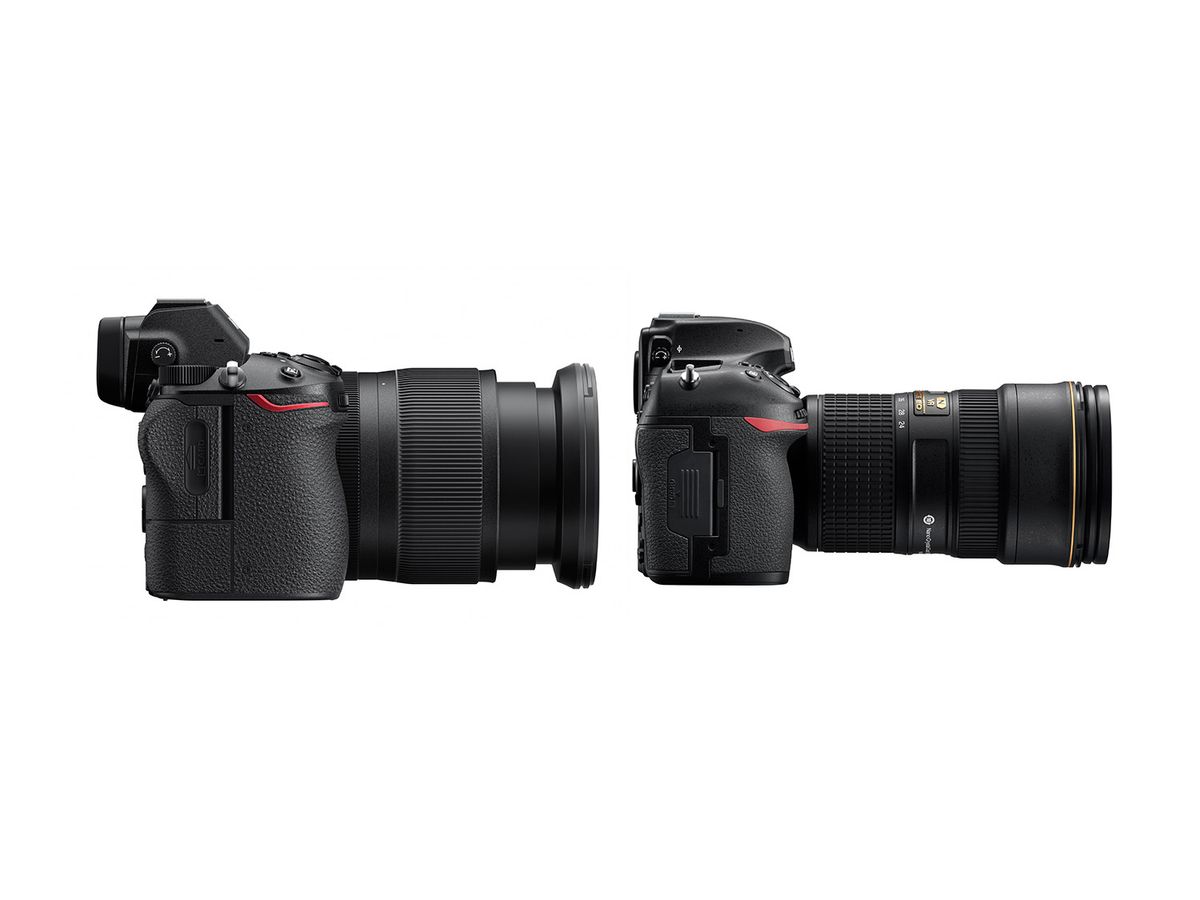 Nikon D850 vs Z7: How do they compare? | Digital Camera World