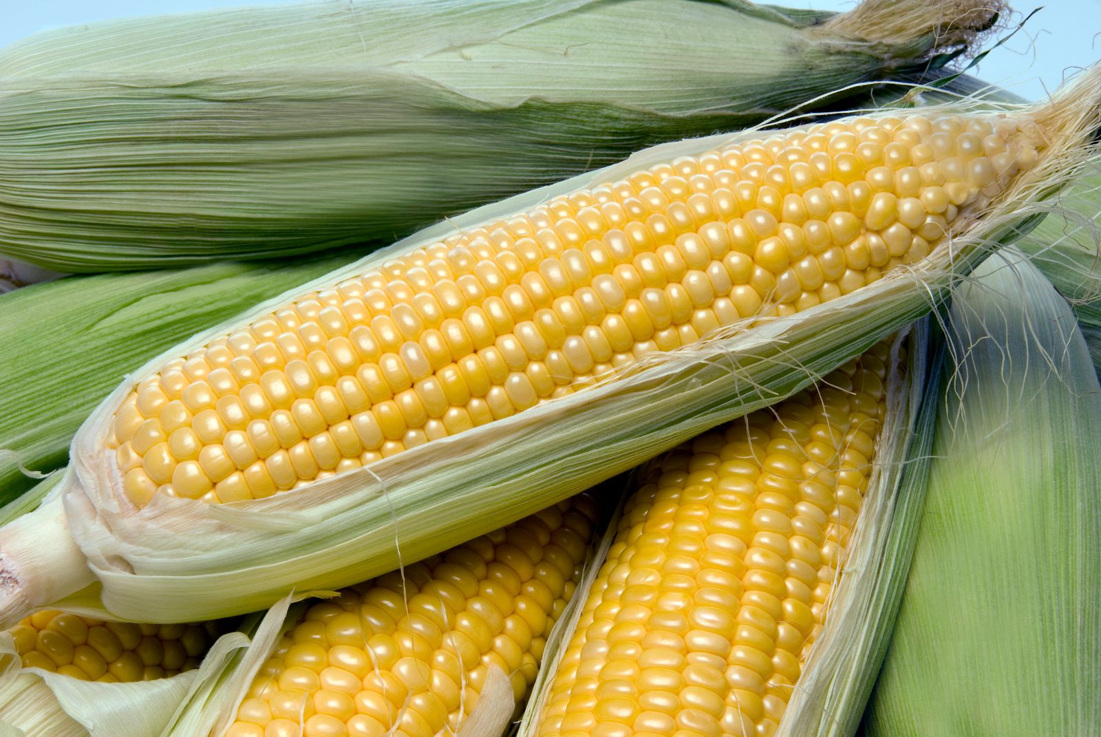 How to cook corn on the cob | GoodtoKnow