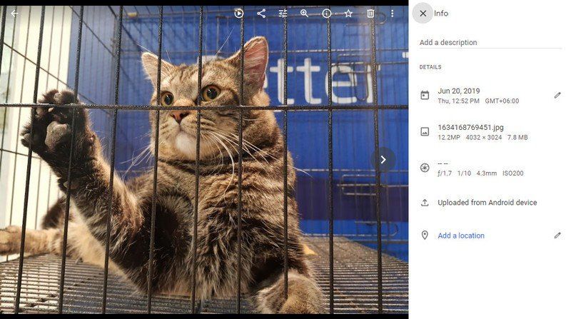 How to change the date and time of a photo in Google Photos | Android ...