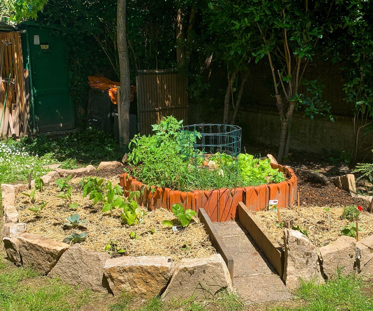 What is keyhole gardening and expert tips on how to do it | Homes and ...