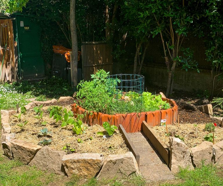 What is keyhole gardening and expert tips on how to do it | Homes and ...