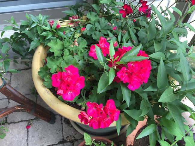 Here's how the new iPod touch camera compares to Apple's best! | iMore