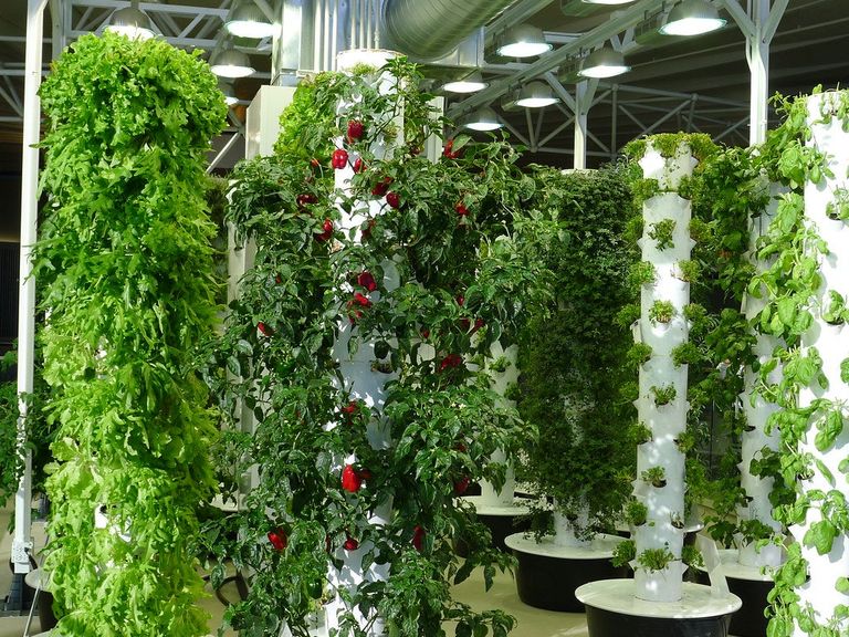 Homemade Garden Tower – Ideas For Building A Tower Garden | Gardening ...