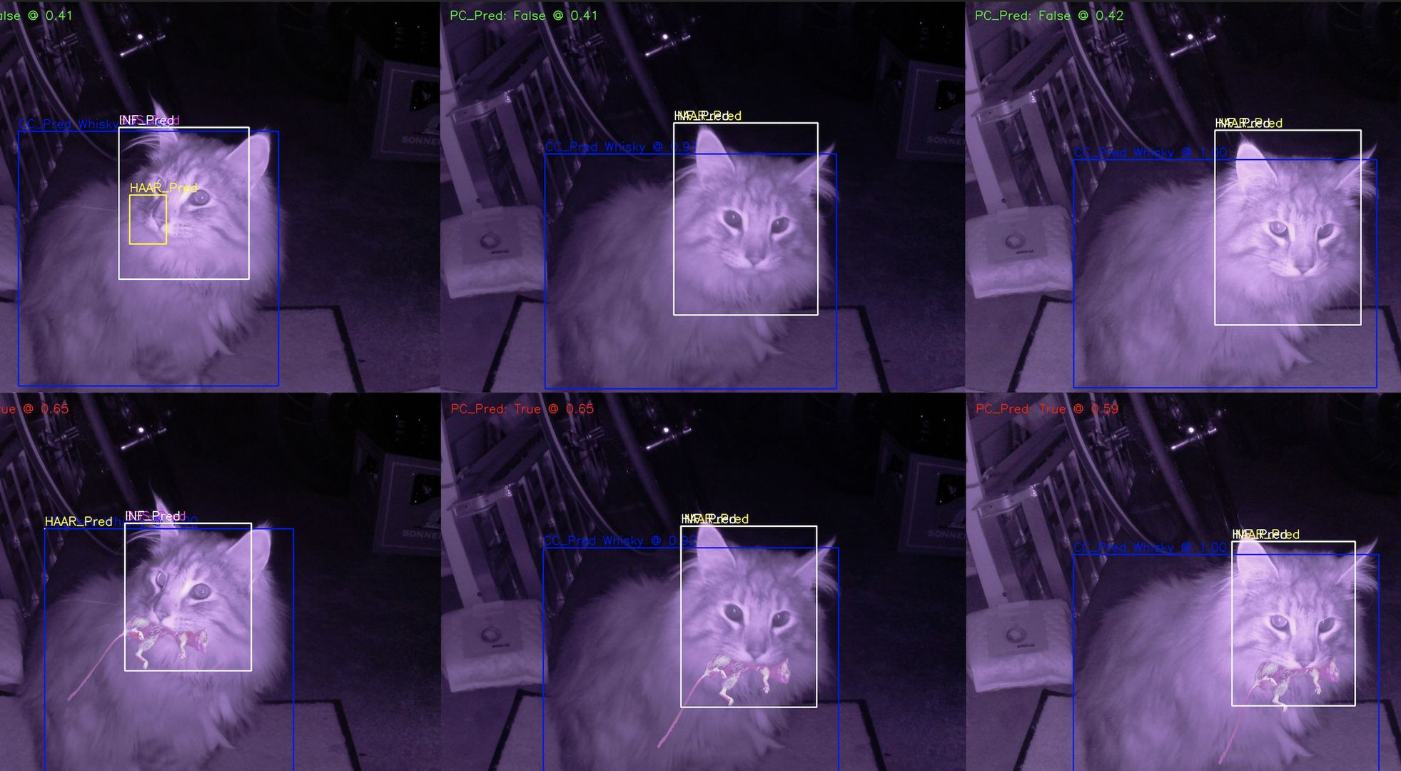 Raspberry Pi Scans Cats for Caught Prey | Tom's Hardware