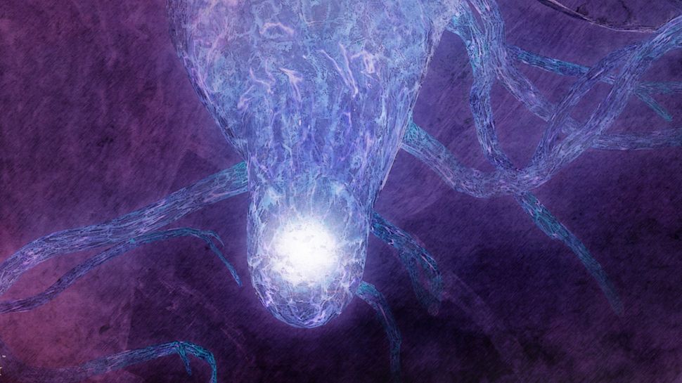How to beat Everdark Augur in Elden Ring Nightreign | PC Gamer
