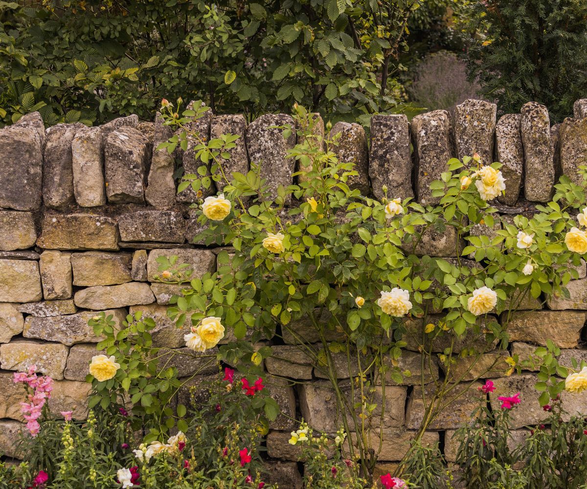 9 front garden wall ideas that blend style and practicality | Homebuilding