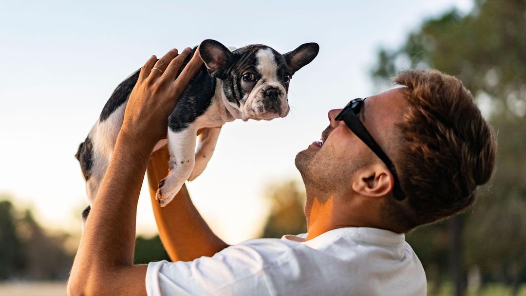Most popular pets in the world: The top 20 | PetsRadar