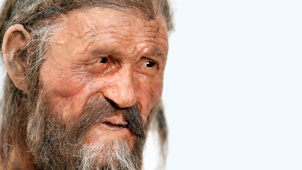 Ötzi the Iceman and his neighbors had totally different ancestries ...