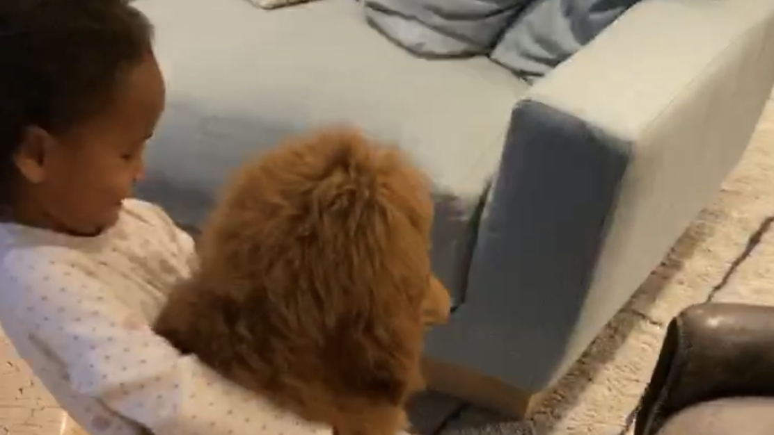 Luna Stephens Holds Chrissy Teigen & John Legend's Puppy Petey | Marie ...