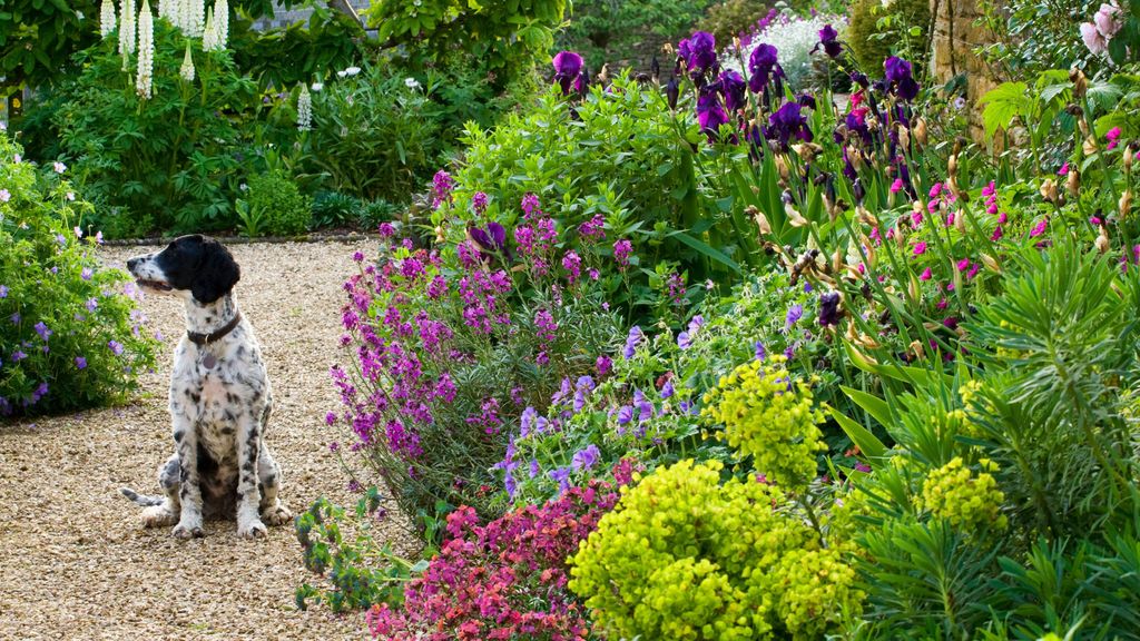 When to plant wallflowers for stunning springtime blooms | Ideal Home