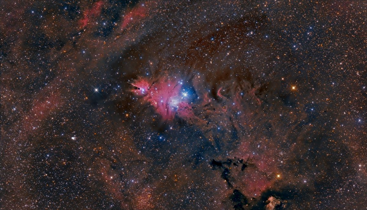 Amateur Astronomers Capture Magnificent Mix of Celestial Delights in ...