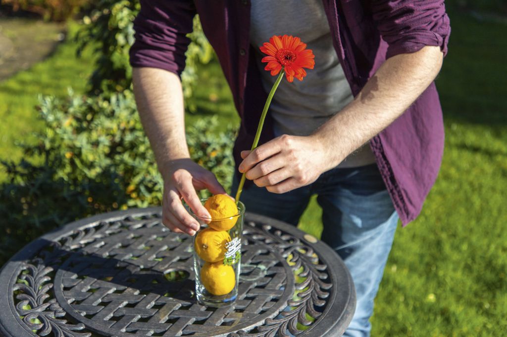 Photograph fantastic flowers at home with this cheap and simple camera ...