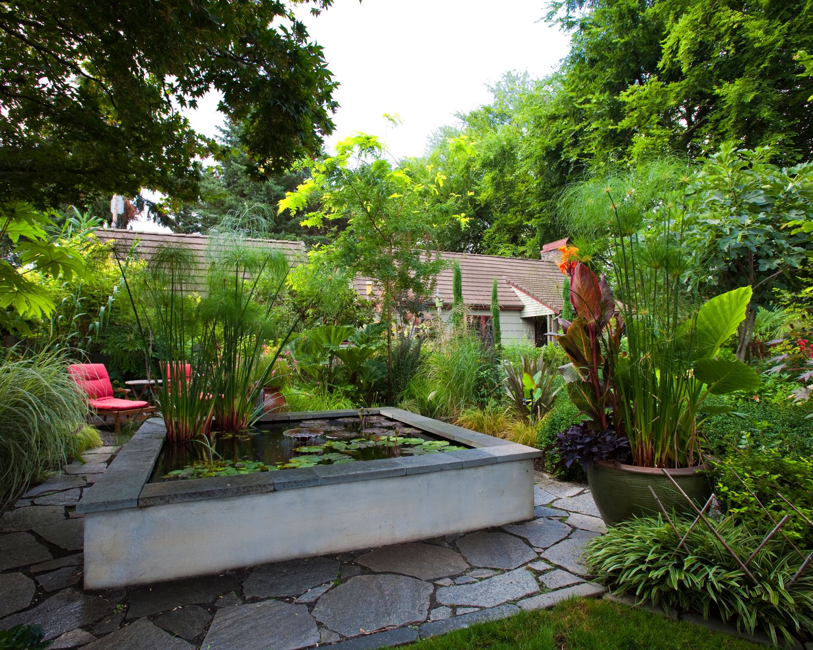 Best pond plants: 10 to grow in a garden water feature | Homes and Gardens