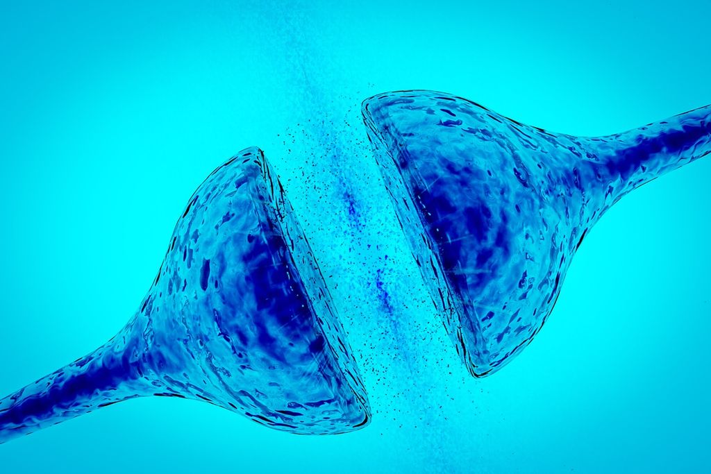 How Does Consciousness Arise in the Brain? | Live Science