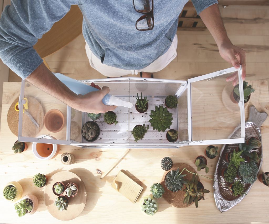 Indoor growing system ideas: 5 ways to grow an indoor garden | Homes ...