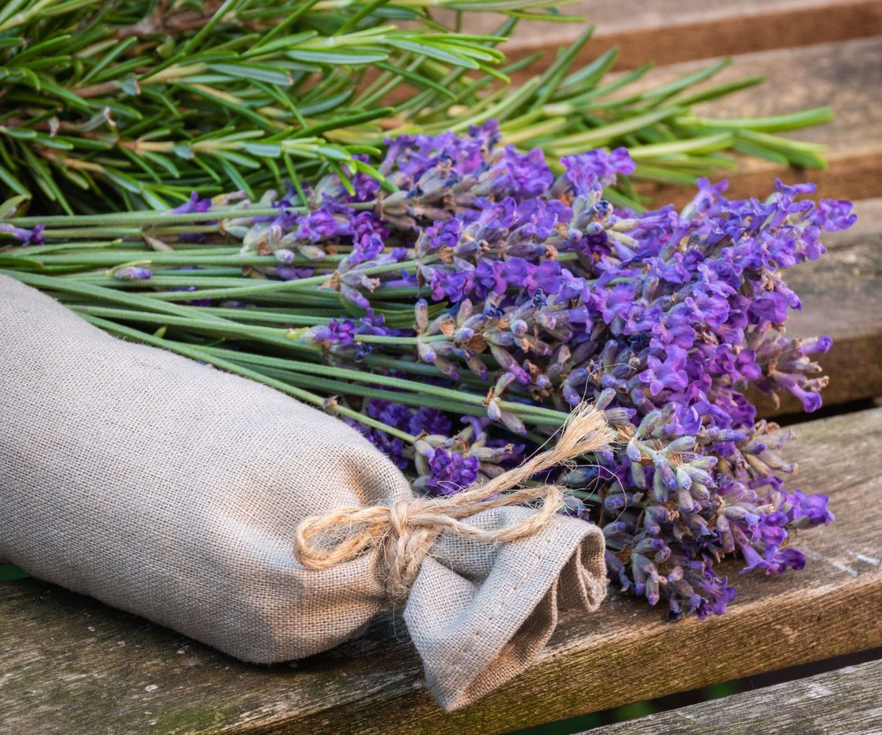 Landscaping with lavender: 15 ways to use this classic shrub | Homes ...