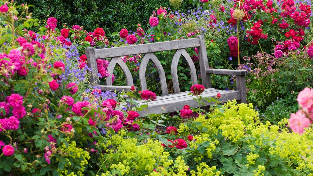 9 Old-Fashioned Flowers To Transport You To Another Time | Gardening ...