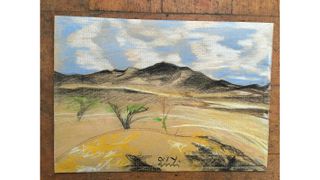 Artists Olly and Suzi on their latest expedition | The Week