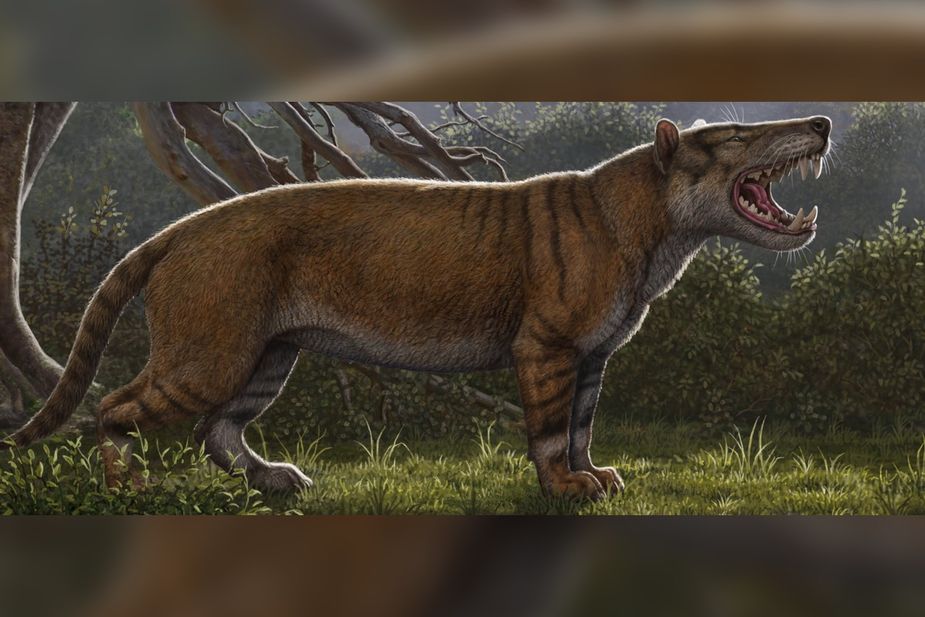 New Species - Newly Discovered Plants, Animals and Microbes - Page 7 ...