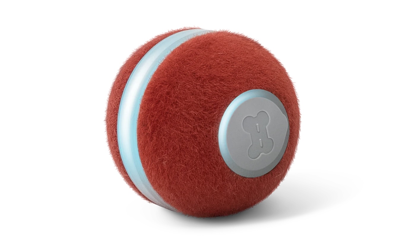 Best interactive cat toys 2025 to mentally stimulate your kitty | PetsRadar