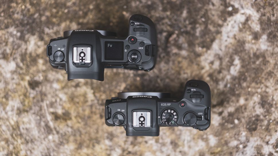 Canon EOS R vs EOS RP: 10 key differences you need to know | TechRadar