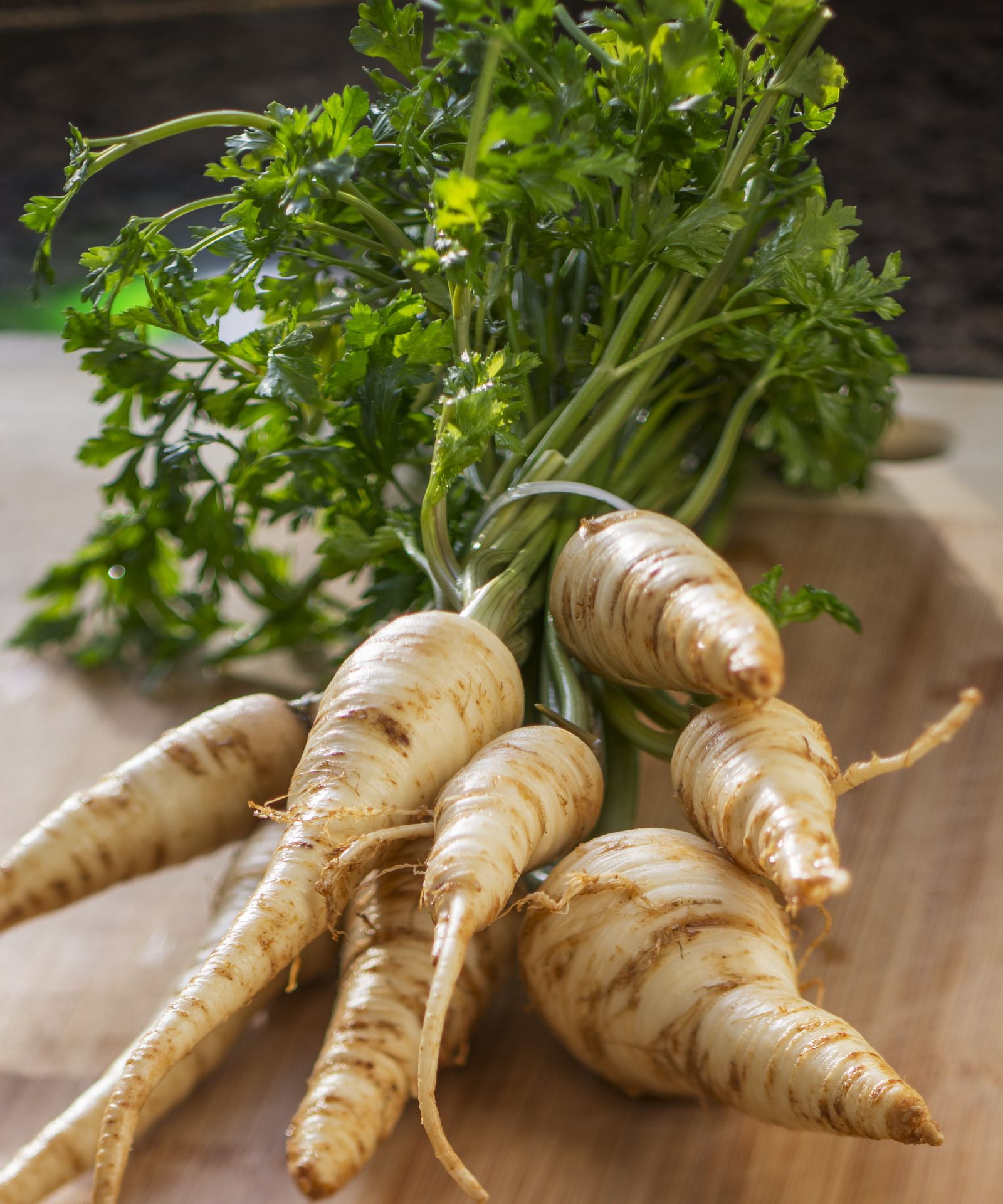 How to grow parsley root for harvests of roots and leaves | Homes and ...