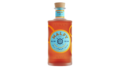 Prime day gin deals: Save up to a THIRD OFF flavoured gins | GoodtoKnow