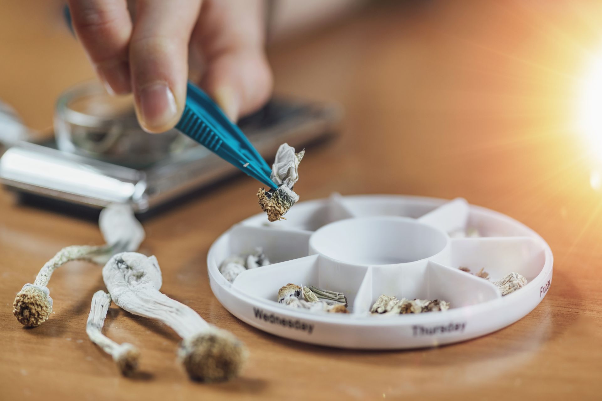 The legal state of psychedelic therapy in the US | The Week