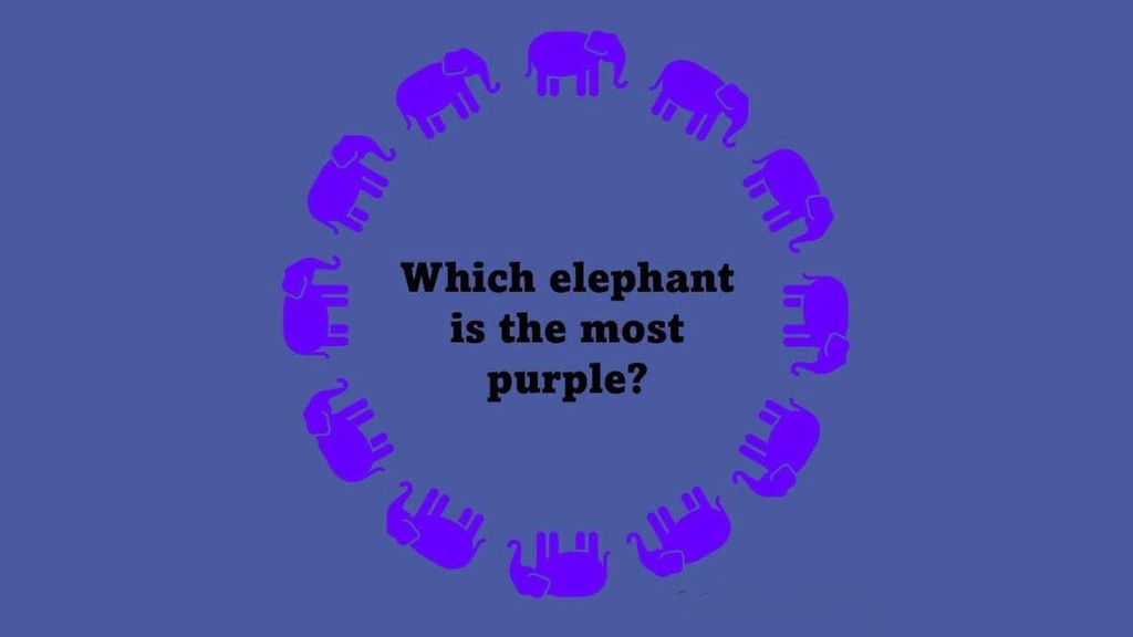 This viral elephant optical illusion is pure magic | Creative Bloq