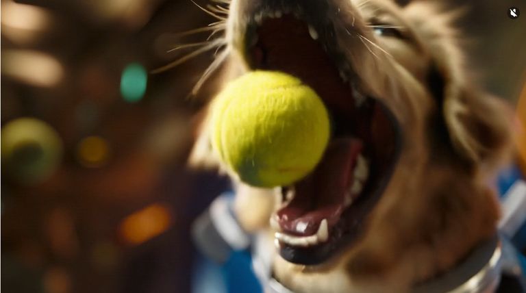 Tech predictions for 2026: from AI to robotics | Wallpaper*