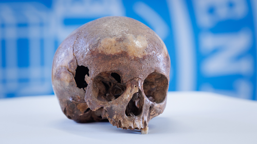 Archaeology: News, features and articles - Page 2 | Live Science