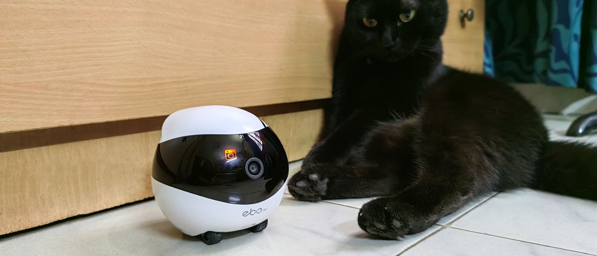 Enabot EBO Air review: The perfect pet companion robot for your furry ...
