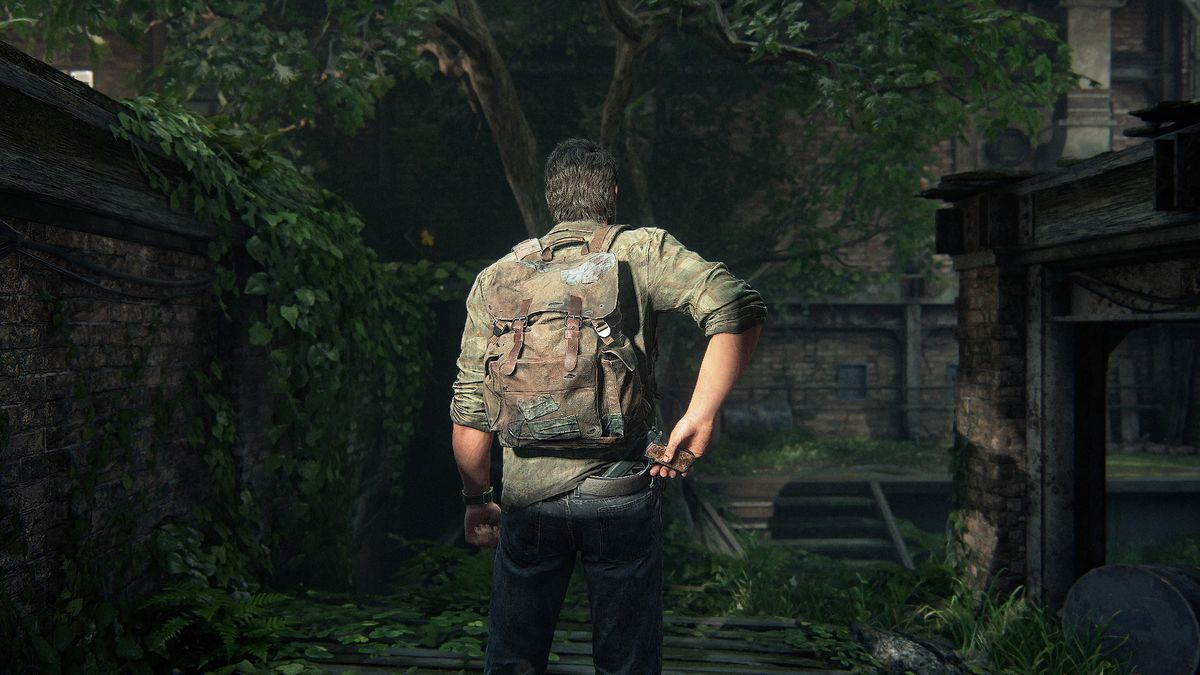 I'm a photographer, and I took STUNNING cinematic photos in The Last of ...