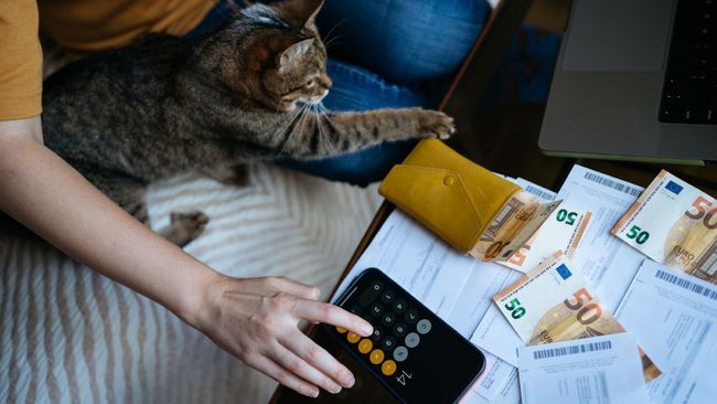 32 ways to save money as a cat owner | PetsRadar