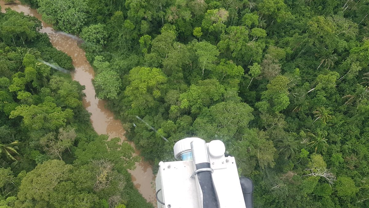 Archaeologists find vast network of Amazon villages laid out like the ...