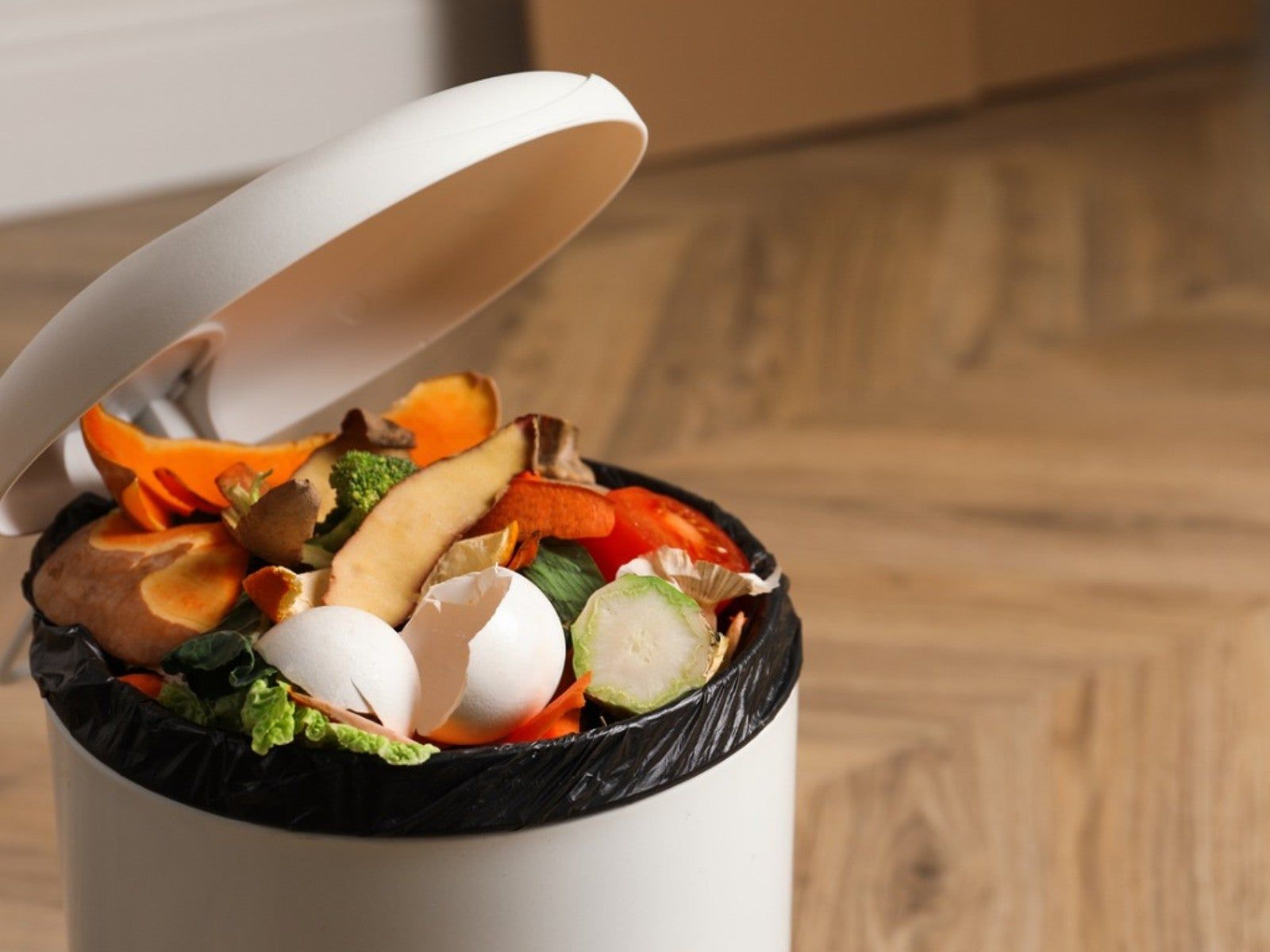 What Happens To Food Waste in Landfills Vs. Compost Piles | Gardening ...
