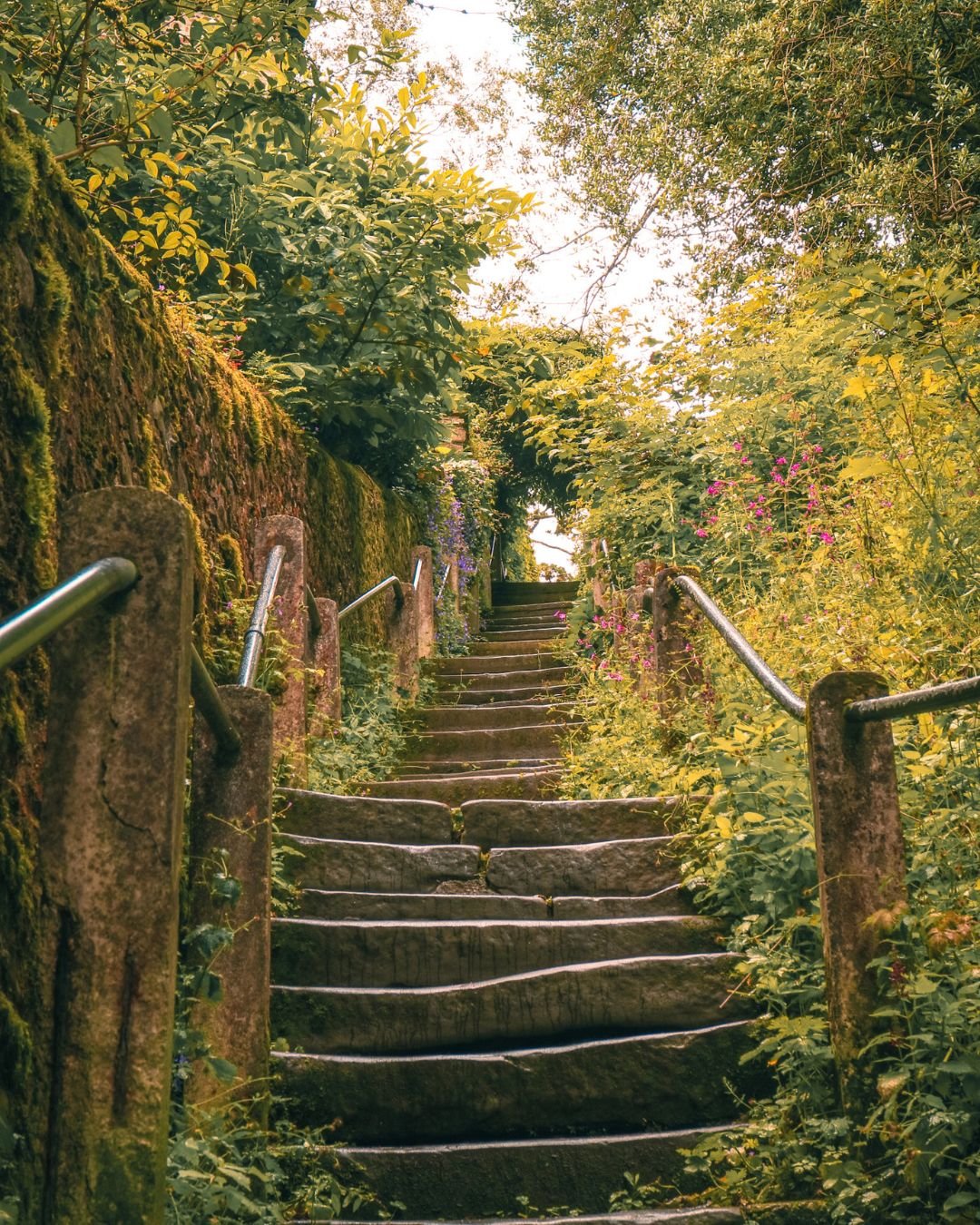 UK photographer wins outdoor photography contest less than a year after ...
