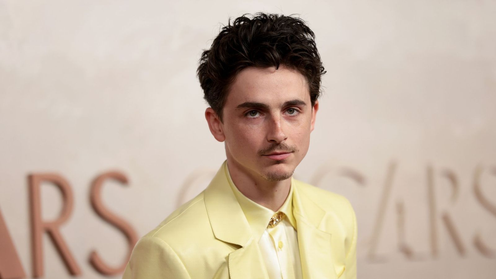 Why the Internet Is Convinced That Timothée Chalamet Has a Famous Alter ...