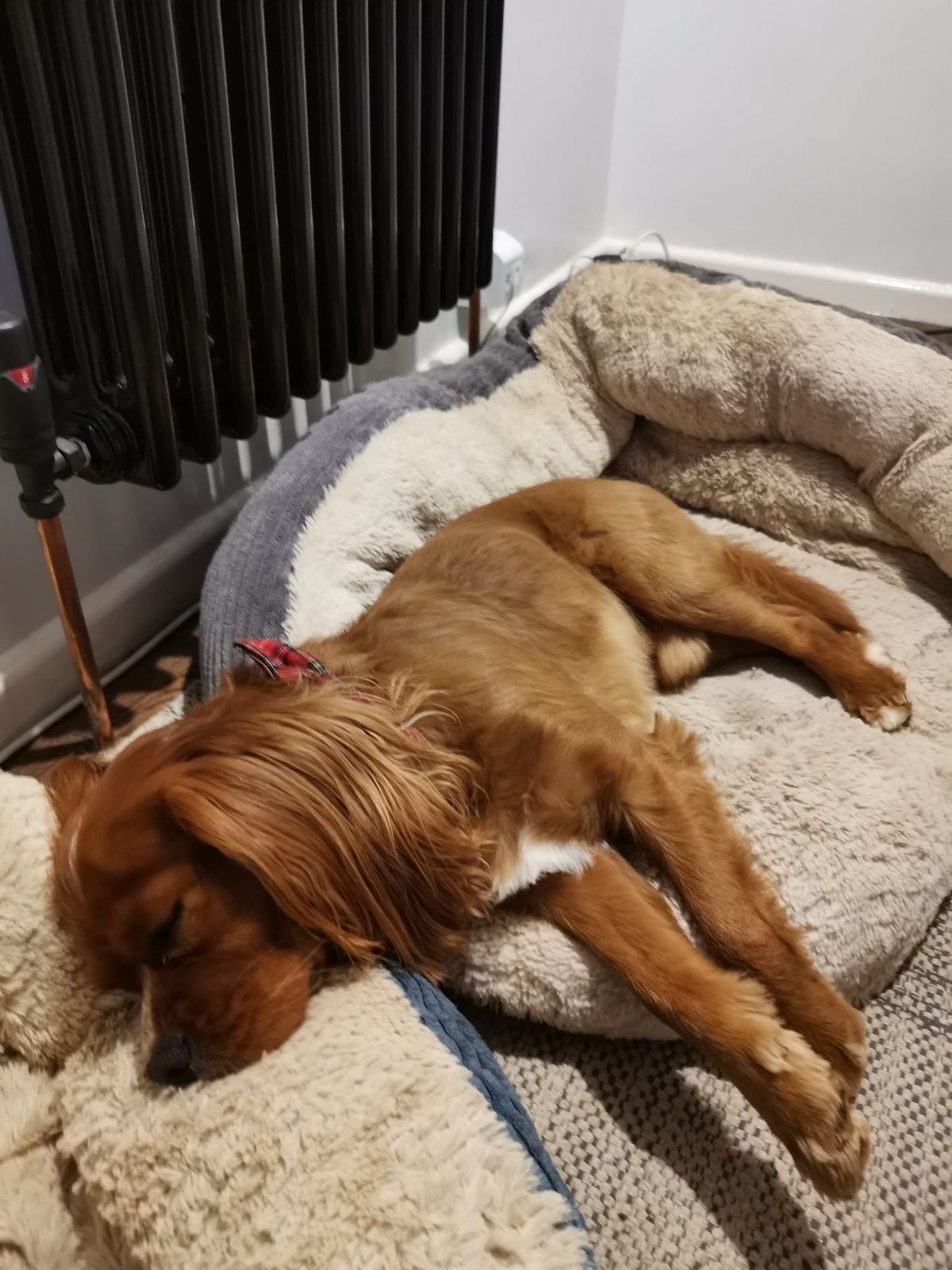 Microsoft's 'Find Your Joy' holiday ad just left me feeling sad ...