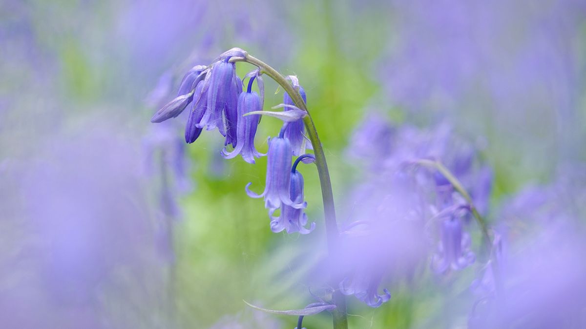 Here’s how AI computer vision is transforming photography | TechRadar