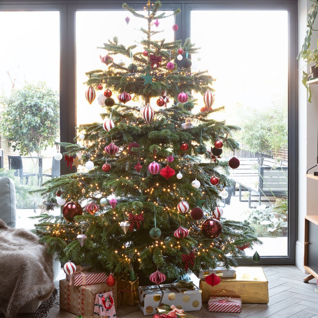 Buying a real Christmas tree – a complete guide | Ideal Home