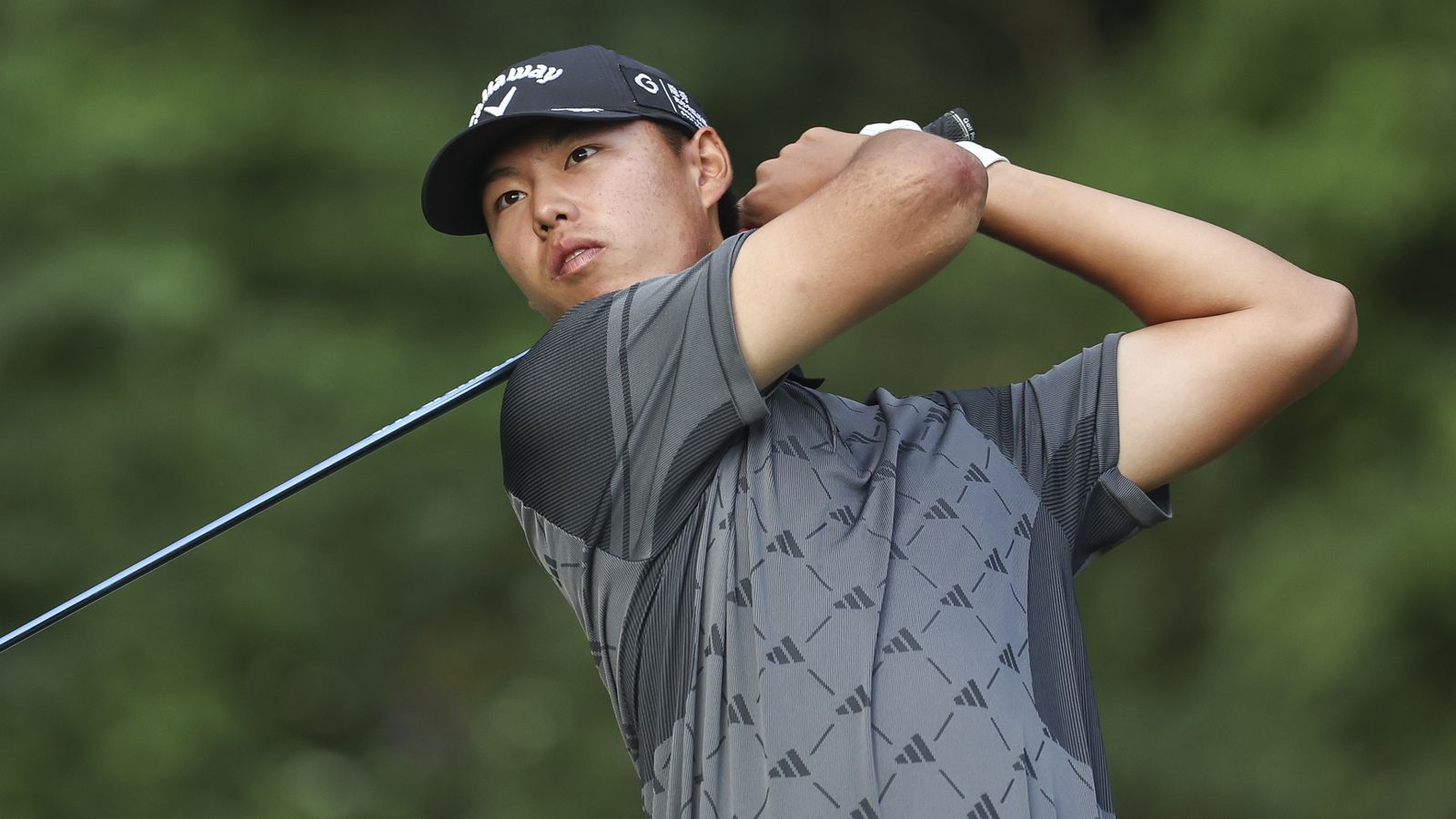 Wenyi Ding Facts And Bio 14 Things To Know About The Chinese Pro
