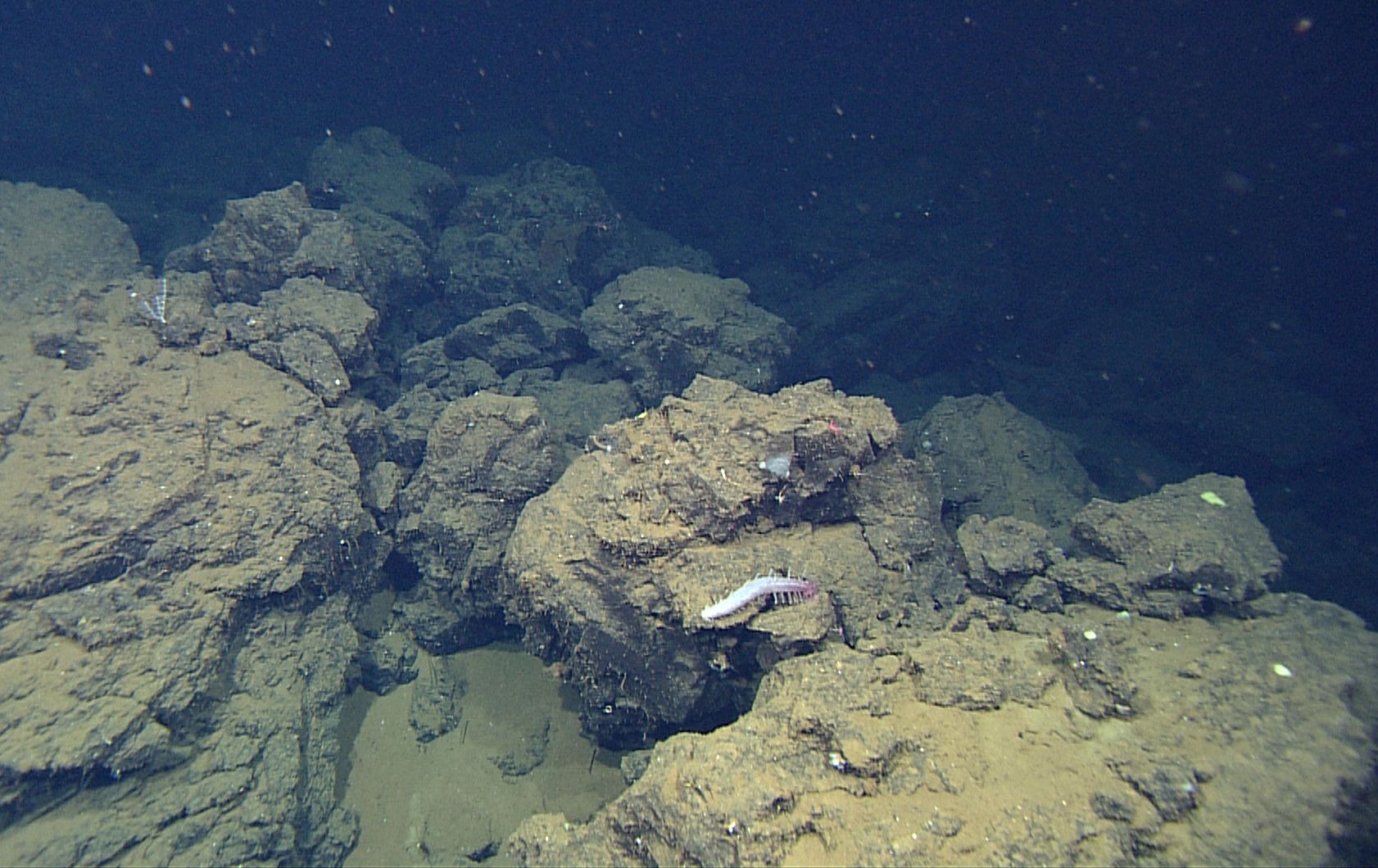 Weird Underwater Volcano Discovered Near Baja | Live Science