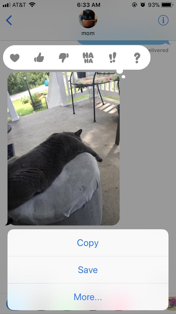Secret iMessage shortcuts: 14 gestures to speed up your iPhone chat ...