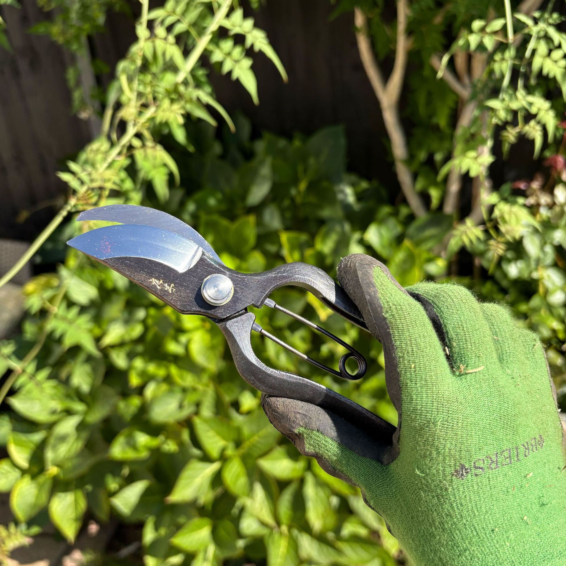 Best secateurs – my 6 favourite pruners right now | Ideal Home