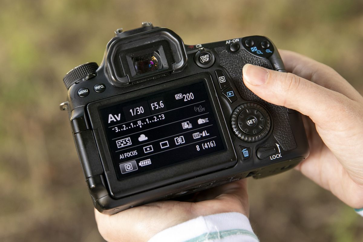 10 tips for amazing portrait photographs in your local park | Digital ...